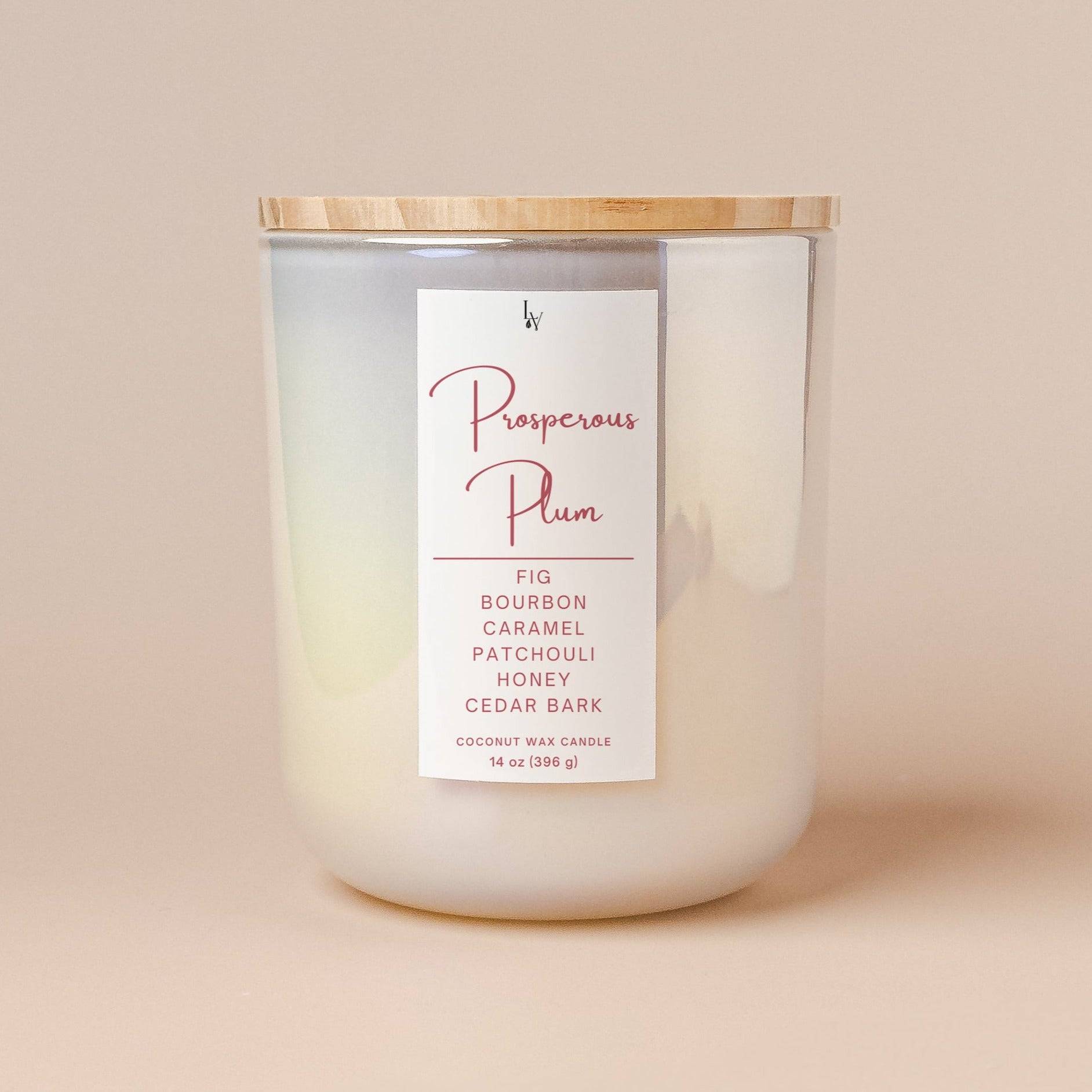 Plum + Fig Scented Candle | Nontoxic Pet-friendly Coconut Wax